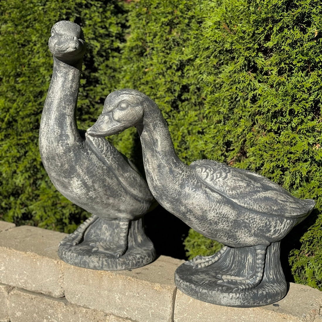 Pair of Geese Garden Statues- Cast Stone — AllSculptures