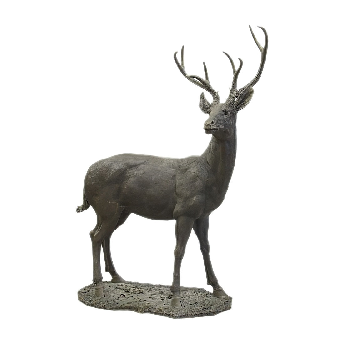 White Tail Deer Garden Statue- Fiberglass — AllSculptures