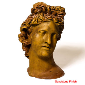 Apollo Bust Planter — AllSculptures