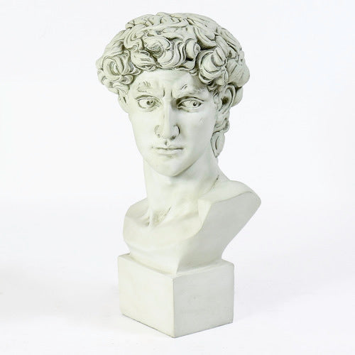 Bust of David Statue-Antique Stone — AllSculptures