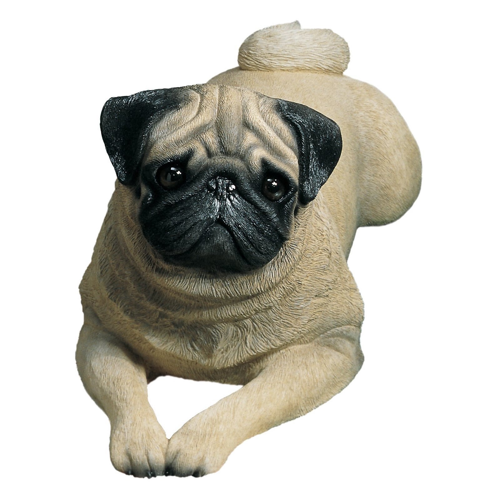 Fawn Pug Statue- Lying by Sandicast — AllSculptures