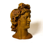 Apollo Bust Planter — AllSculptures