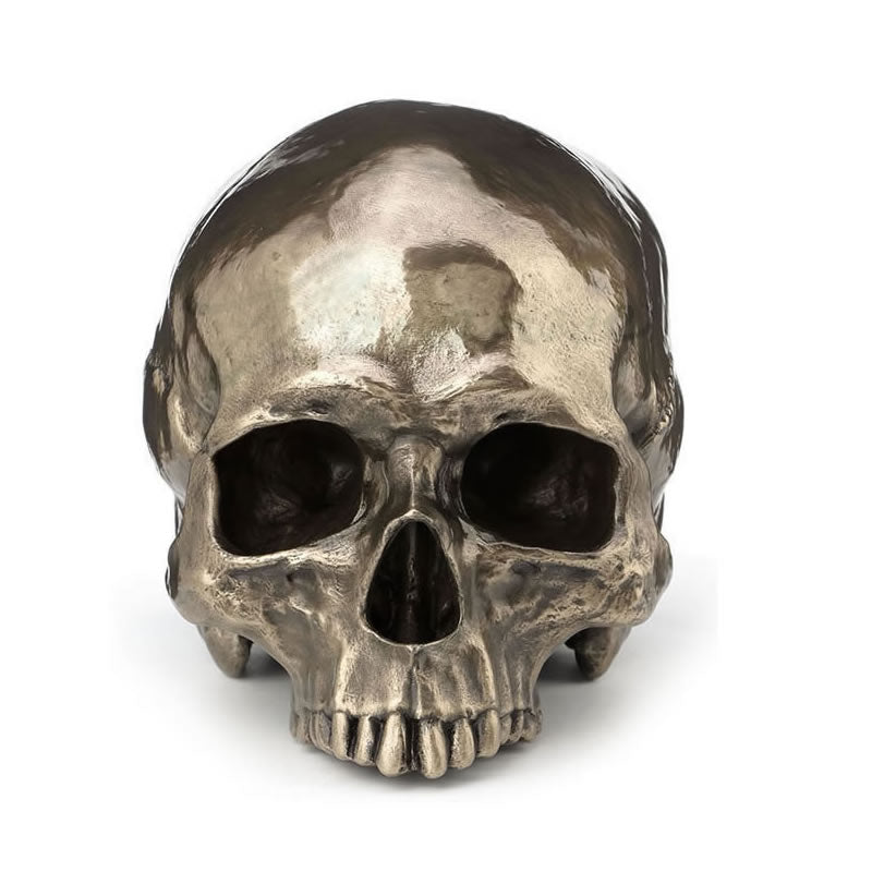 Human Skull (Jawless) Statue — AllSculptures