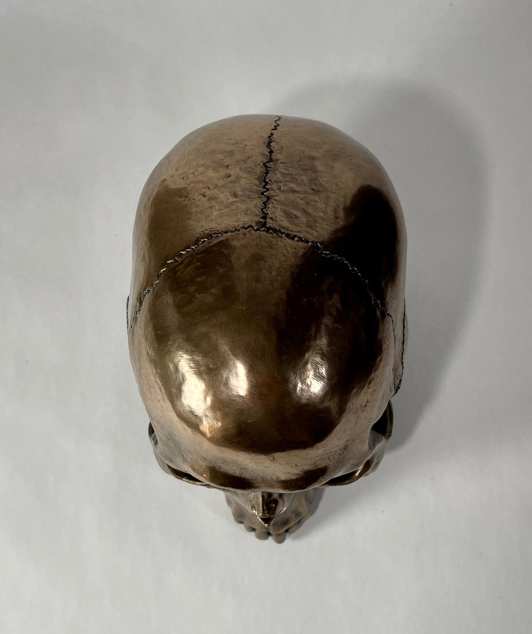 Human Skull (Jawless) Statue — AllSculptures