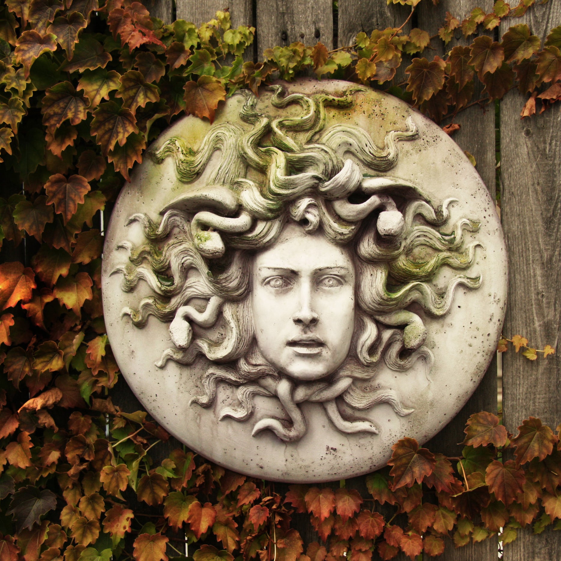 Medusa Wall Plaque — AllSculptures