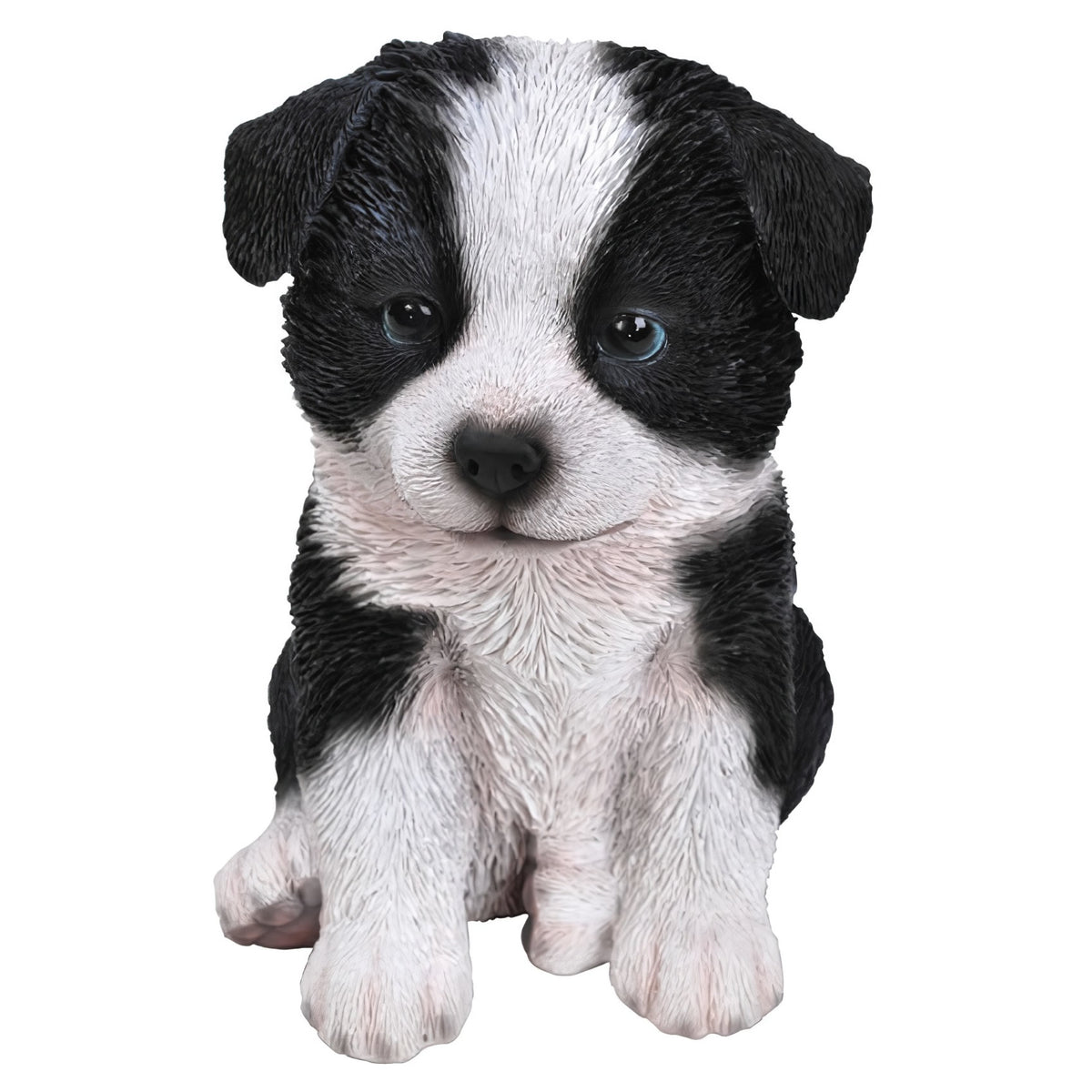 Realistic Border Collie Puppy Statue — AllSculptures