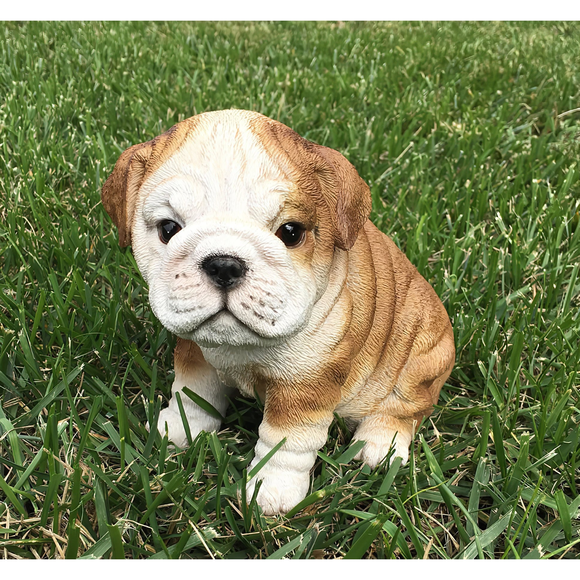 Bulldog Statue, Sculpture & Figurine | AllSculptures.com