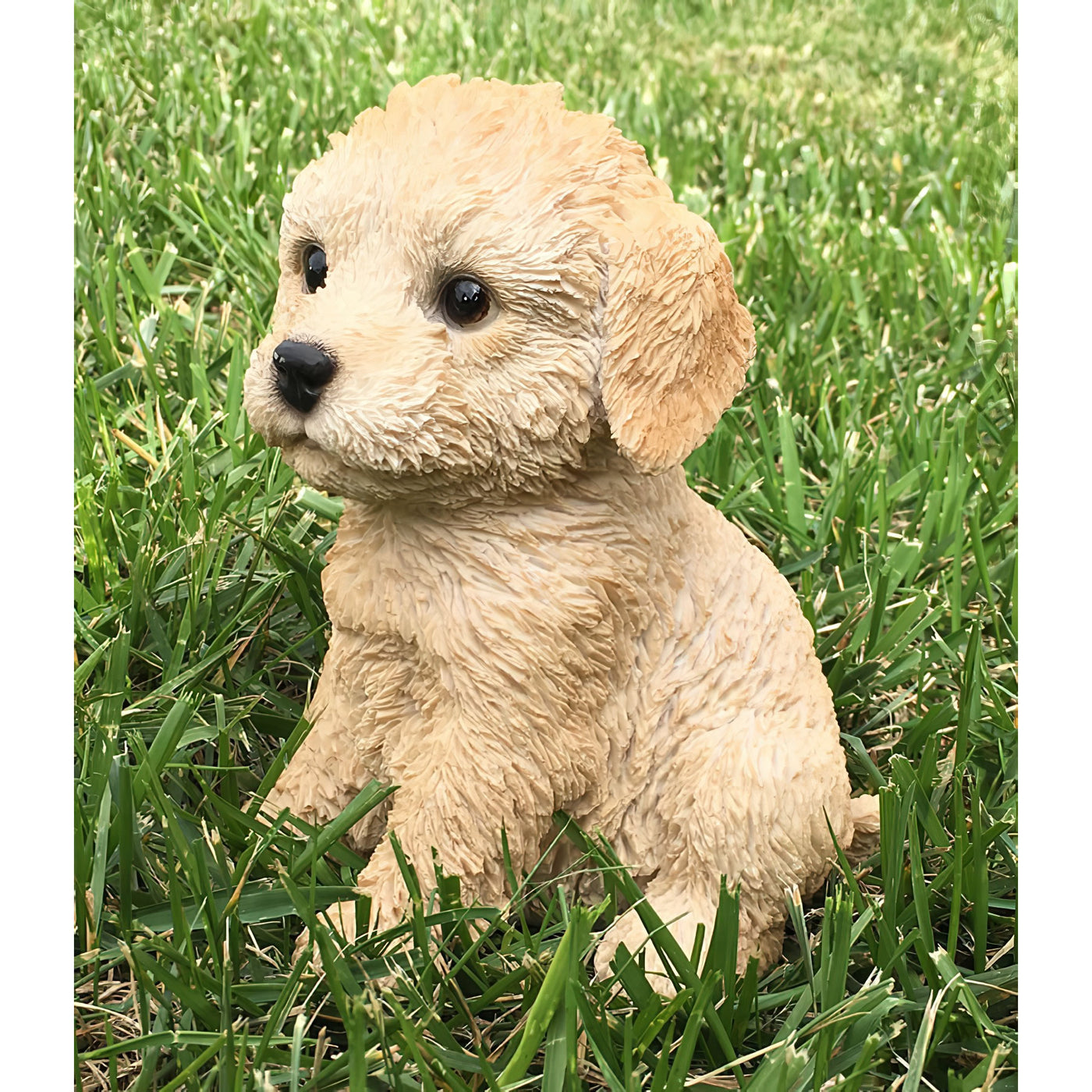 Realistic Labradoodle Puppy Statue — AllSculptures