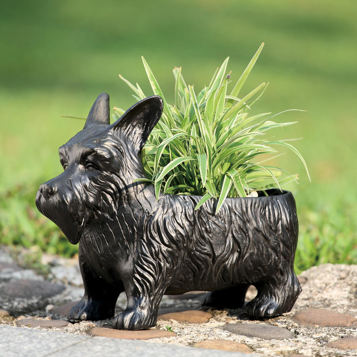 Scottie Dog Planter Box by San Pacific International/SPI Home ...