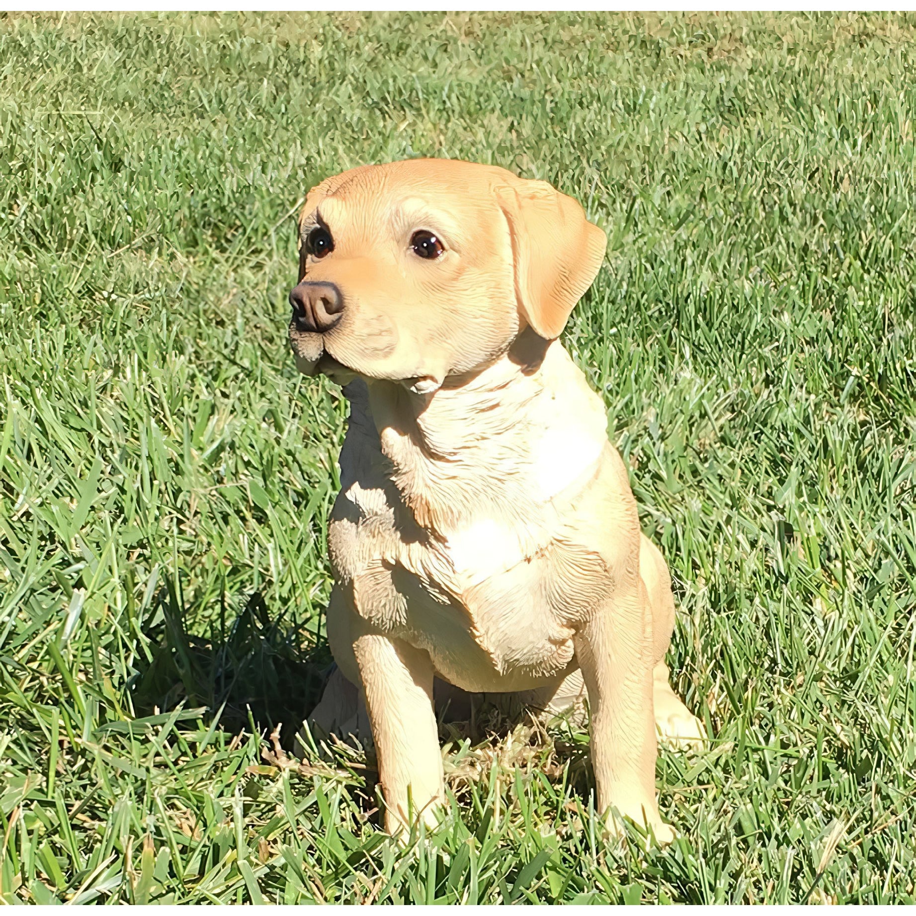Labrador Retriever Statue, Sculpture & Figurine | AllSculptures.com