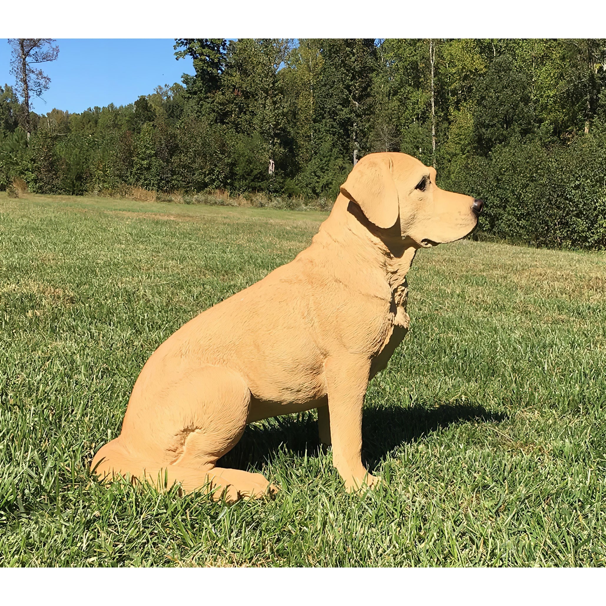 Yellow Labrador Retriever Statue- 21.25"H — AllSculptures