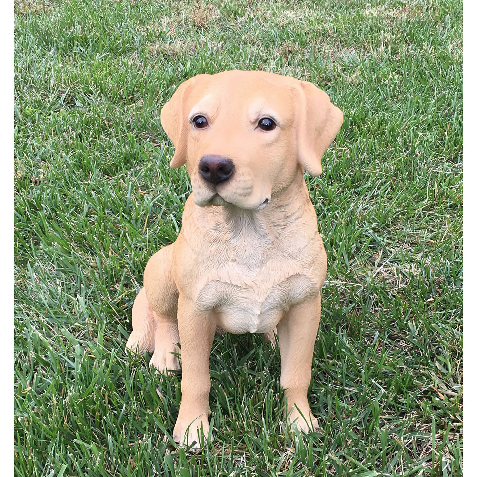 Labrador Retriever Statue, Sculpture & Figurine | AllSculptures.com